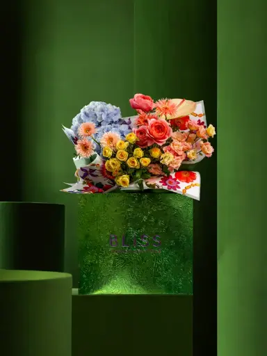 Products | Bliss UAE